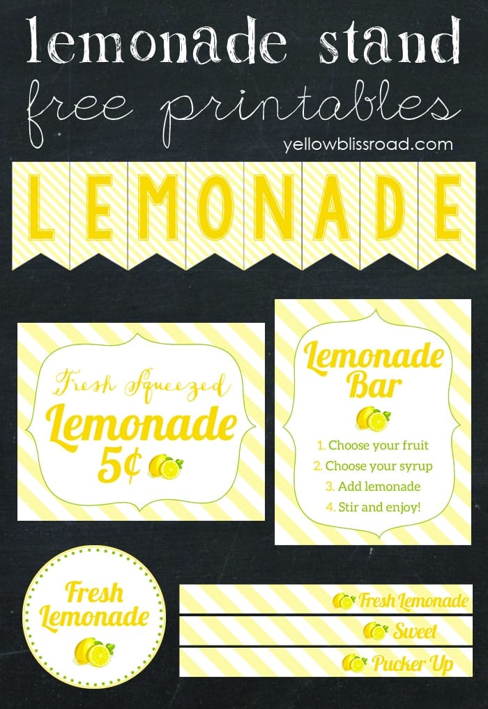 Flavored Lemonade Bar with Free Printables | YellowBlissRoad.com