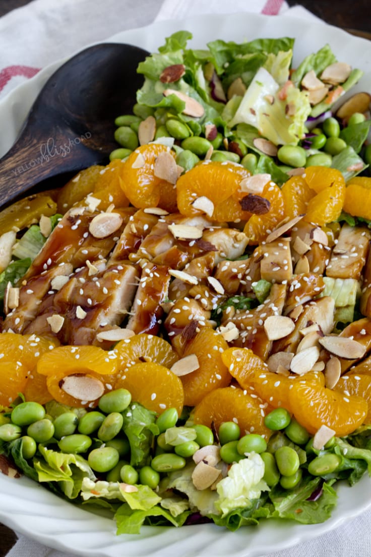 Teriyaki Chicken Salad (Red Robin Copycat) - Yellow Bliss Road