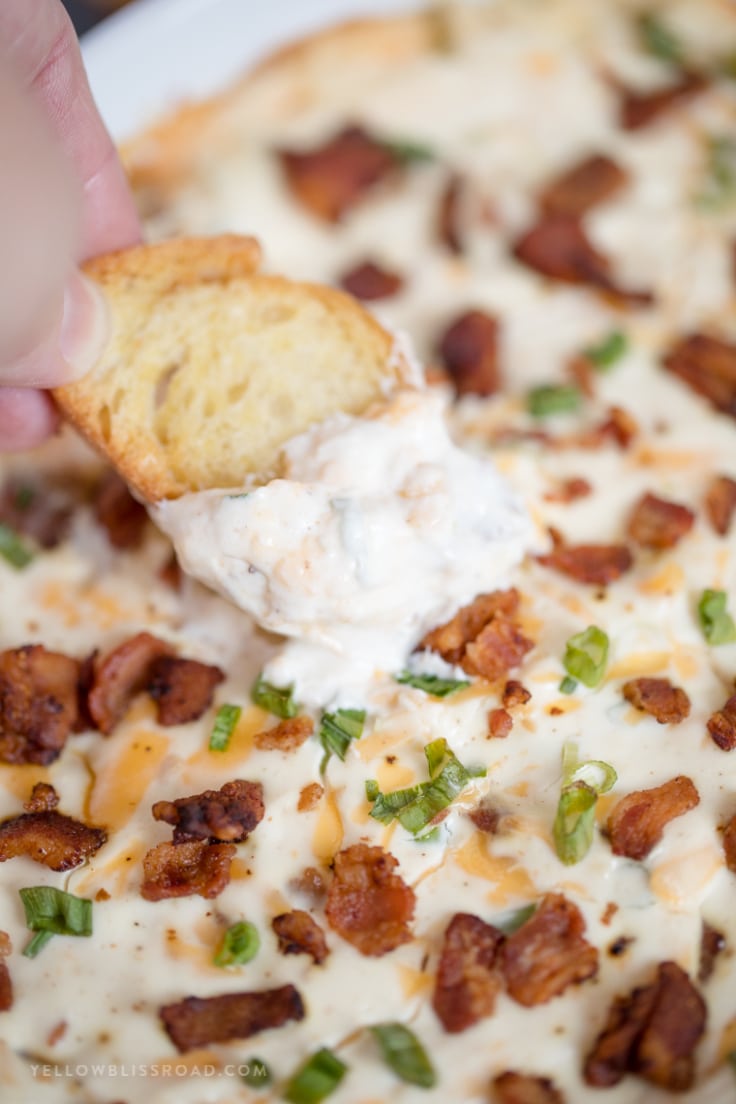 Ooey Gooey Cheesy Hot Bacon Dip served with Crostini