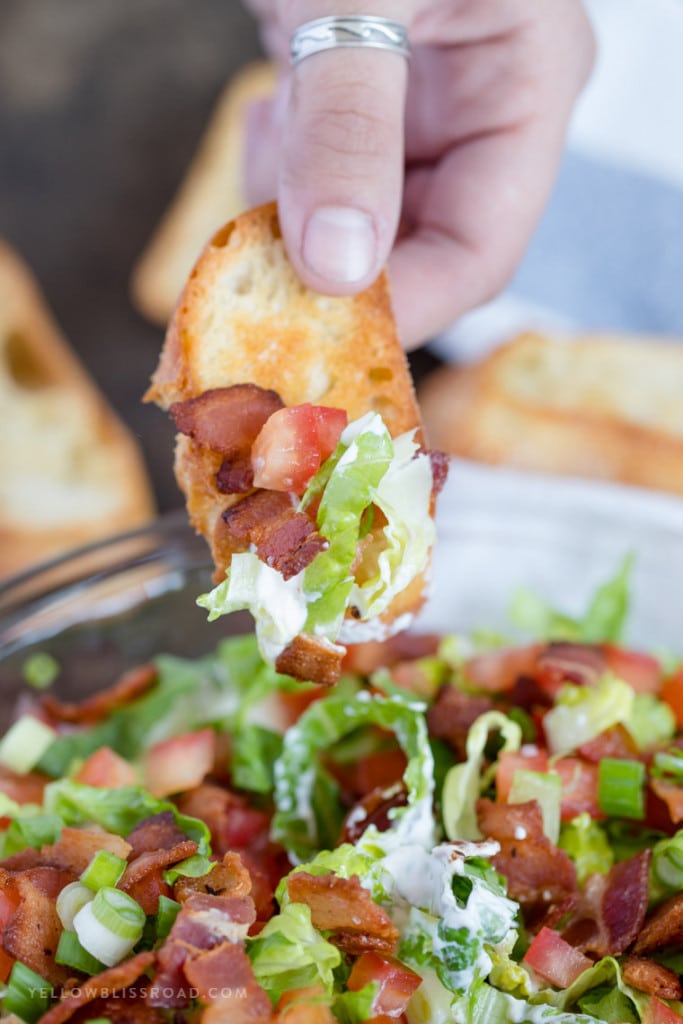 BLT Dip Recipe | Game Day Party Food | Cold Dip Appetizer