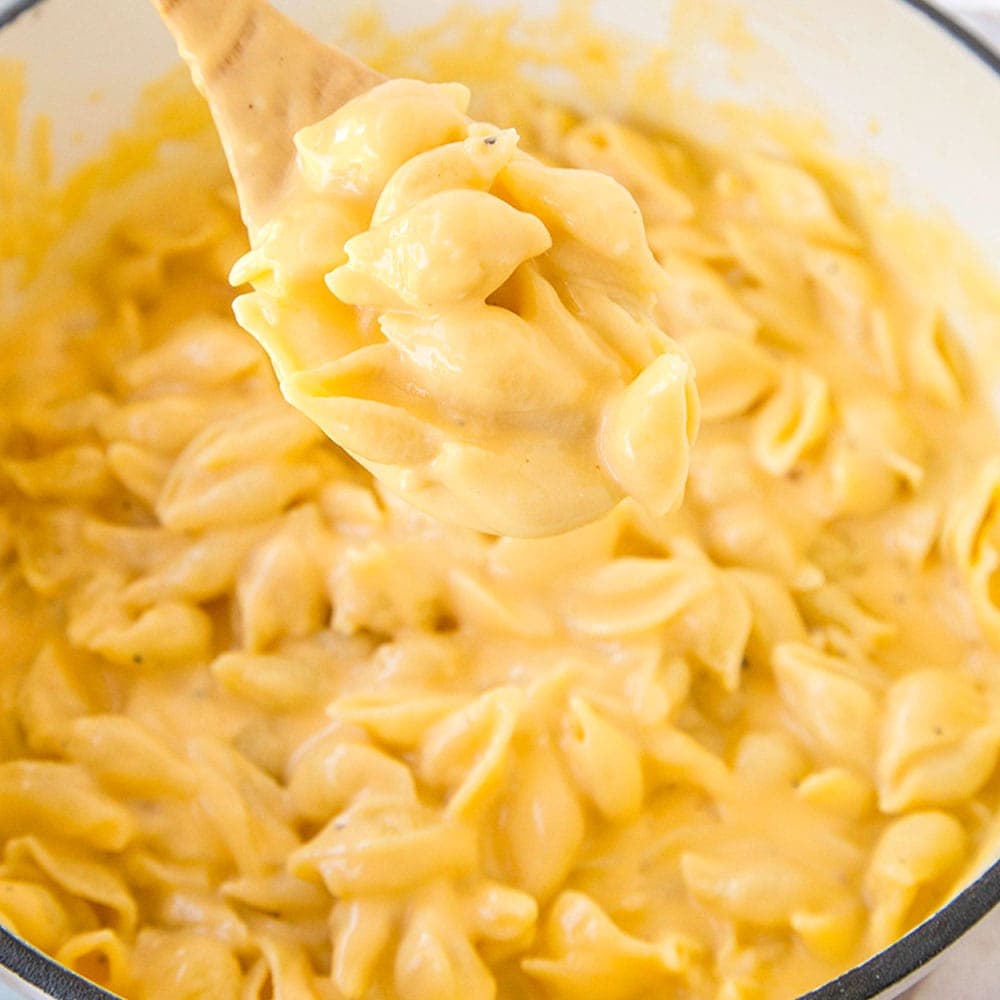 Macaroni And Cheese Shells