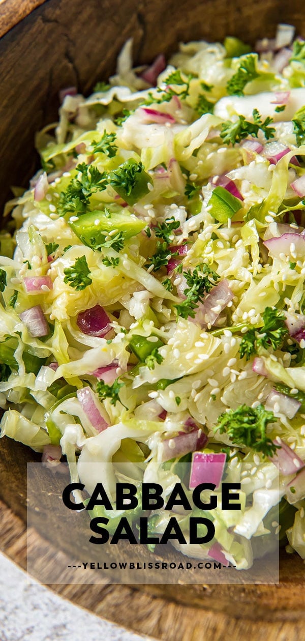 Simple Cabbage Salad Recipe | YellowBlissRoad.com