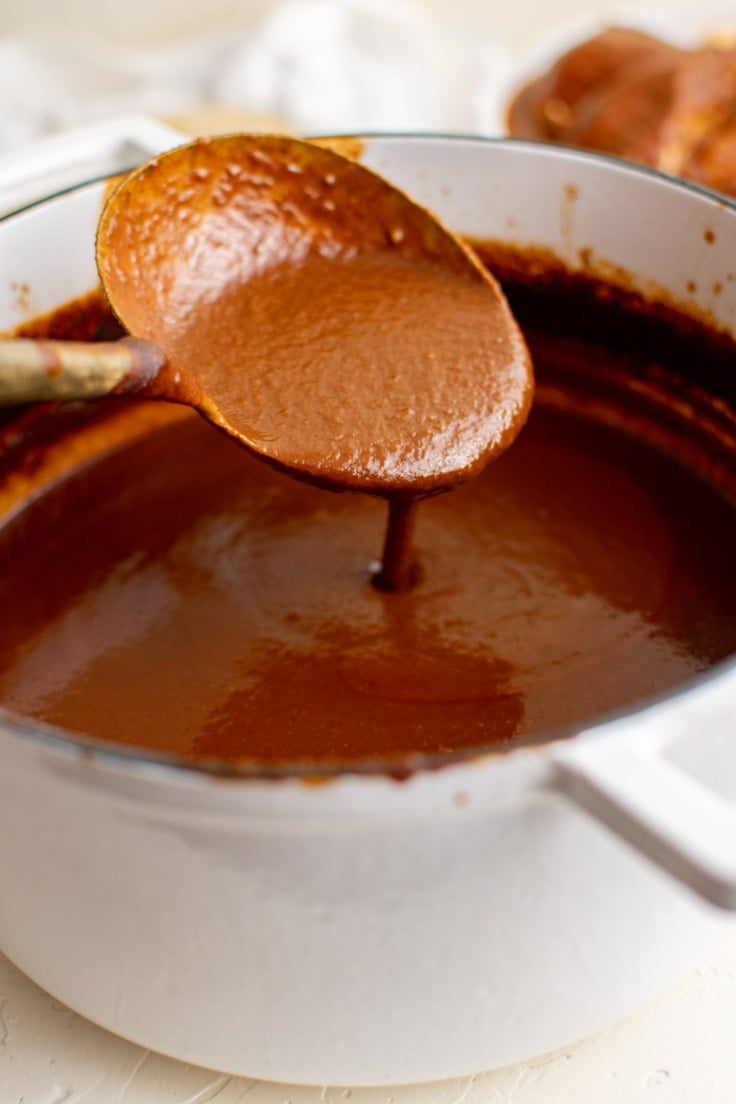 Authentic Mole Sauce (Chicken Mole) | YellowBlissRoad.com