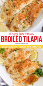 Parmesan Crusted Tilapia Recipe | YellowBlissRoad.com