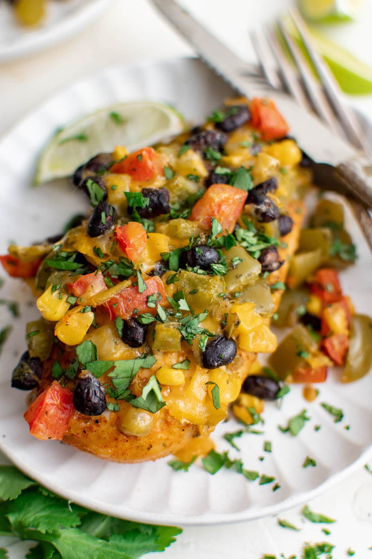 Southwest Chicken Bake Recipe | YellowBlissRoad.com