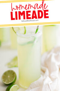 Homemade Limeade (Just 3 Ingredients!) | YellowBlissRoad.com