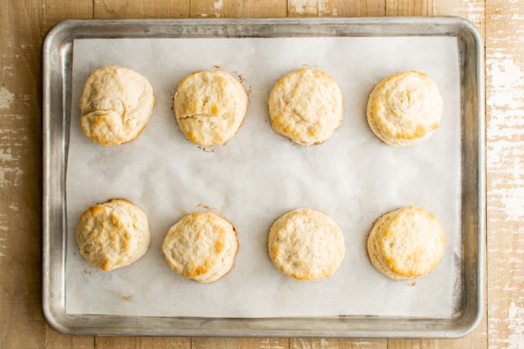 Fluffy Homemade Biscuits | YellowBlissRoad.com