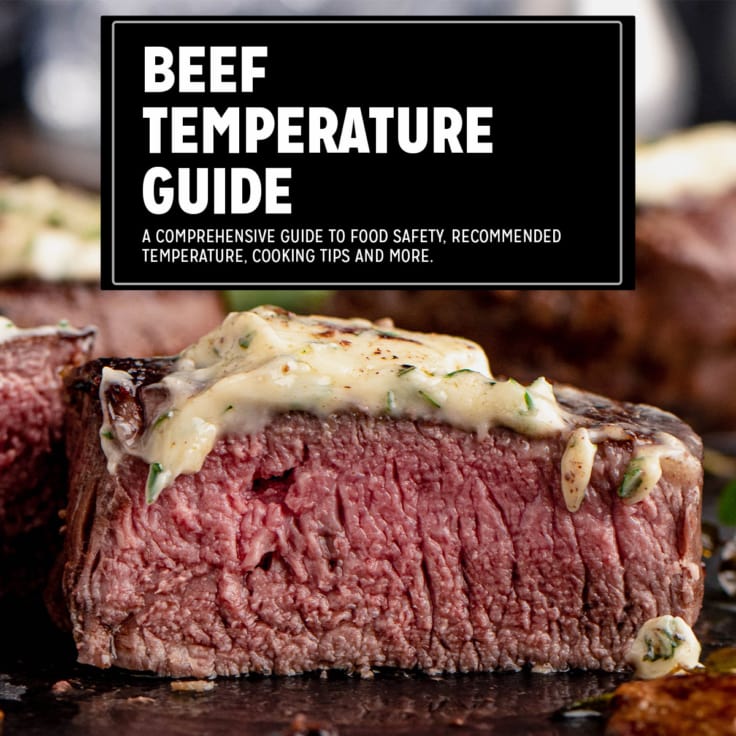 Meat Temperature Chart (FREE PRINTABLE!) and Food Safety