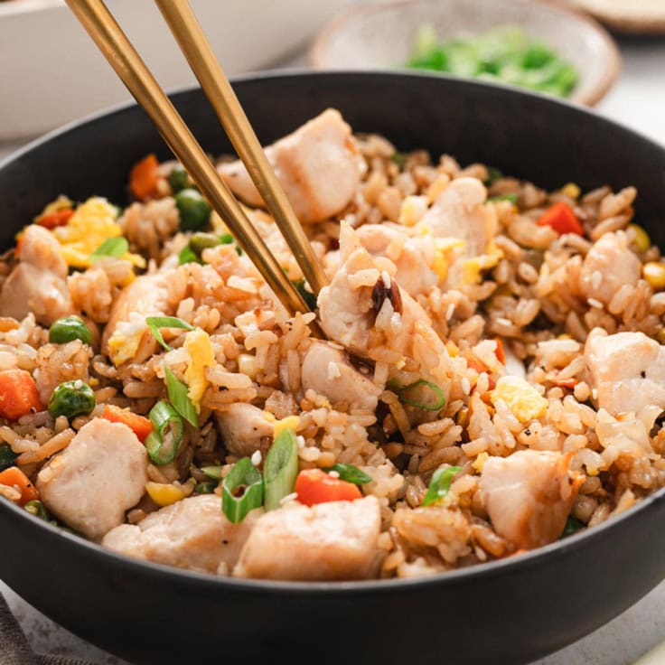 Easiest Chicken Fried Rice Recipe | Yellow Bliss Road