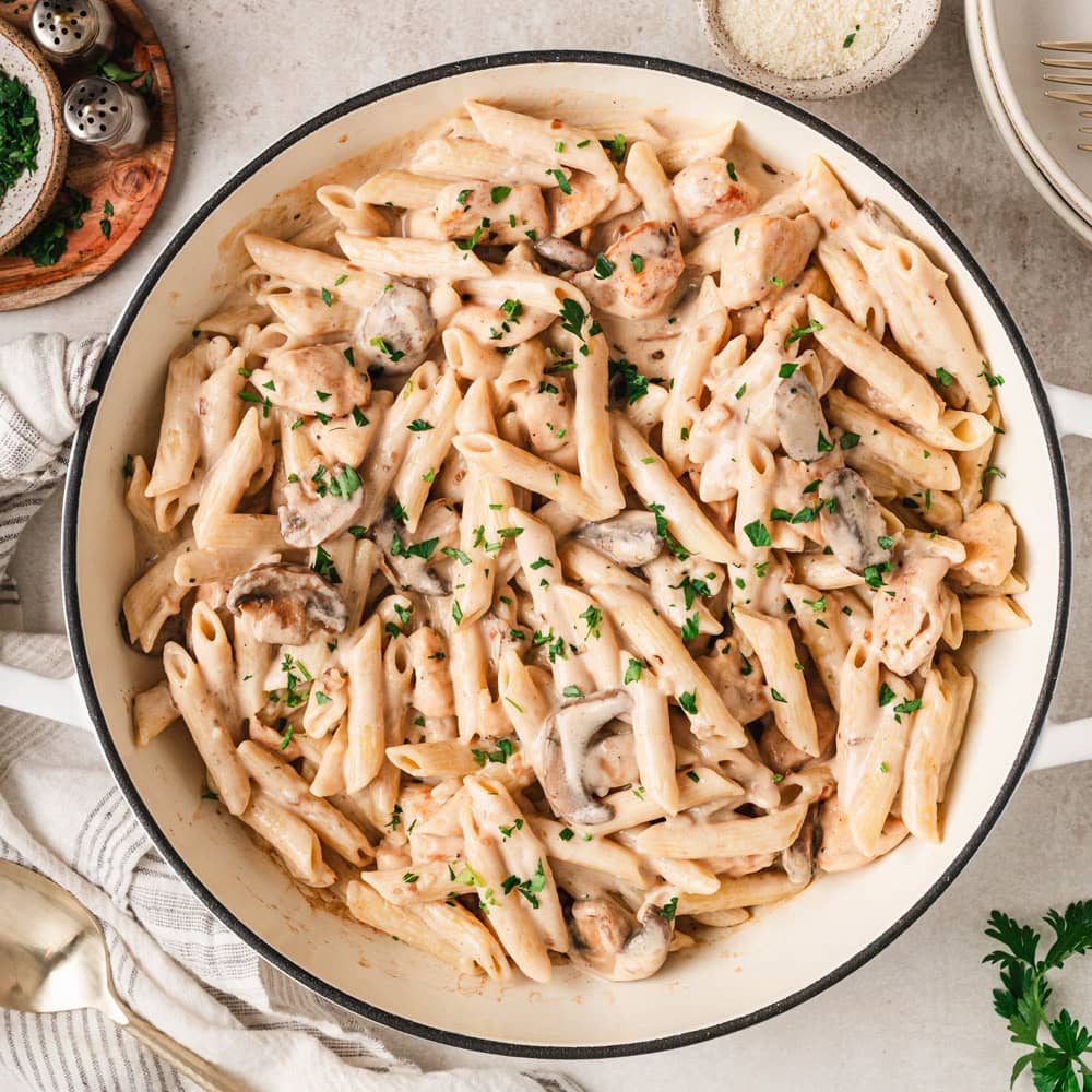 One Pot Creamy Tomato Chicken Pasta - Yellow Bliss Road